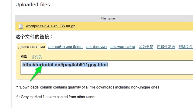 [教學] 如何從 TurboBit.net 免費空間分享或下載檔案？