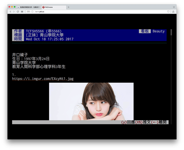 Term.ptt.cc 使用瀏覽器直接連線批踢踢！免下載外掛或軟體